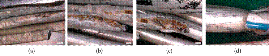Extreme Testing of Guard Cables with Fiber Optics: A Case Study