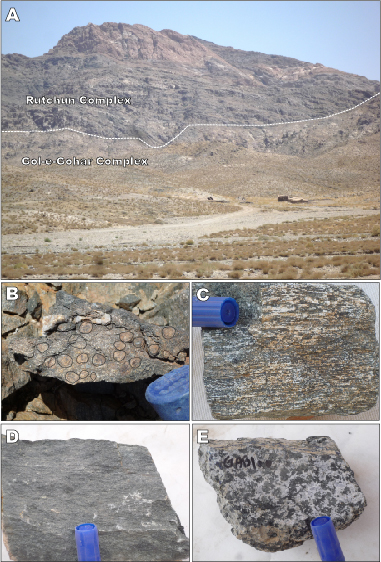 Geochemistry and petrogenesis of metabasites from the Gol-e-Gohar ...