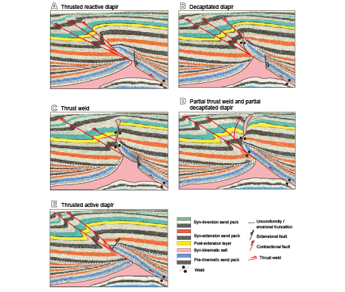 Weld kinematics of syn-rift salt during basement-involved extension and ...