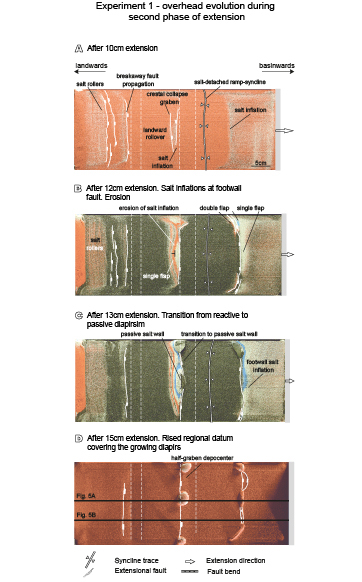 Weld kinematics of syn-rift salt during basement-involved extension and ...