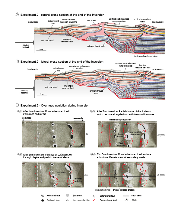 Weld kinematics of syn-rift salt during basement-involved extension and ...