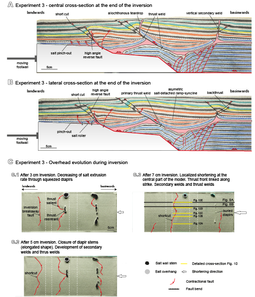 Weld kinematics of syn-rift salt during basement-involved extension and ...