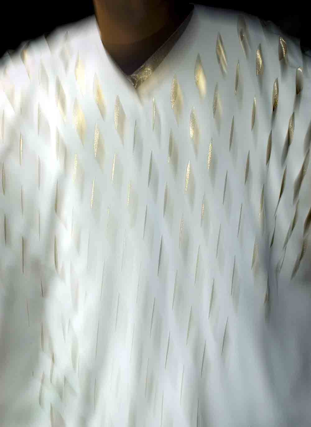 Vestir de Luz[1]: entrevista de Nanni Strada a Francesca Picchi