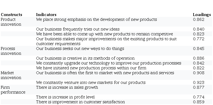 Innovation orientation and performance of small and medium-sized ...