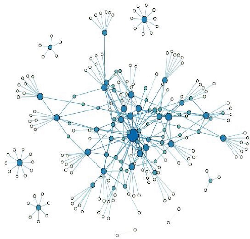 SOCIAL NETWORK STRUCTURE AND FIRMS’ INTERNATIONALIZATION: NEW INSIGHTS ...