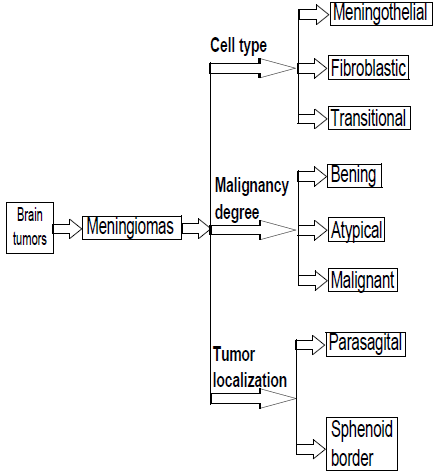 Automatic segmentation of a meningioma using a computational technique in magnetic resonance imaging