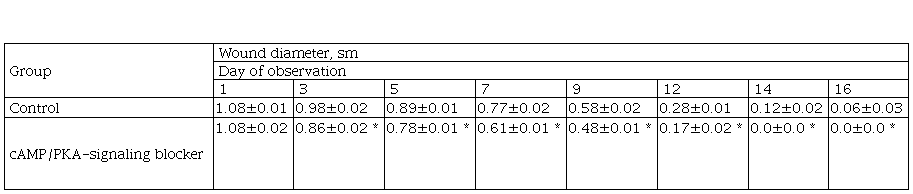 Blockade of cAMP/PKA-signaling in mesenchymal progenitor cells as a ...