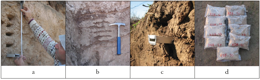 Magnetic parameters and paleoclimate: A case study of loess deposits of ...