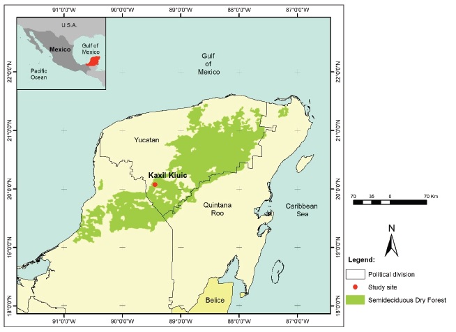 Soil CO2 efflux fluctuates in three different annual seasons in a ...
