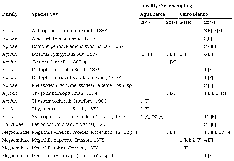 Wild bees as floral visitors to Salvia assurgens (Lamiaceae): a ...