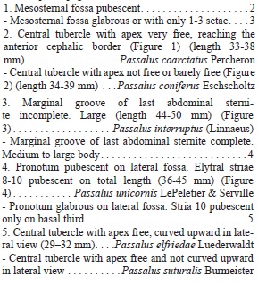 Passalus coarctatus Percheron, 1835 (Coleoptera: Passalidae ...