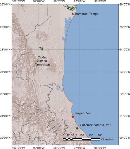 Nuevo registro de Siren intermedia (Caudata: Sirenidae) para el estado ...