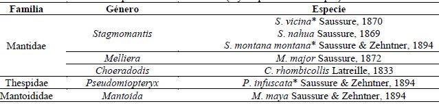 Mántidos (Insecta: Mantodea) de la Reserva de la Biósfera Selva El ...