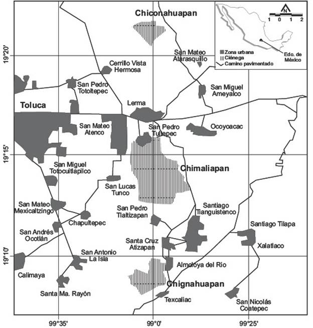 Variaciones morfométricas del género Notocotylus (Digenea ...