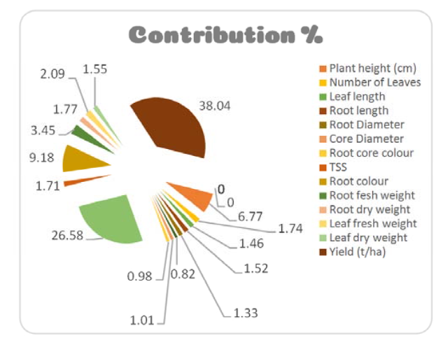 Genetic diversity study in tropical carrot (Daucus carota L.)