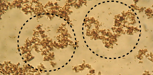 Distribución del tamaño de agregados de asfaltenos mediante análisis de ...