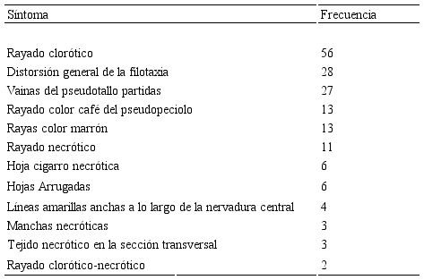Diagnóstico de la presencia de Badnavirus en las plantaciones bananeras ...