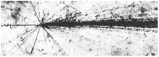 A fotografia e seus duplos: mulheres invisíveis e retratos impossíveis