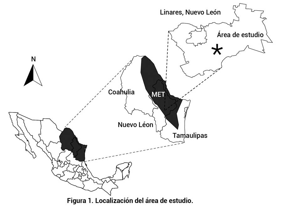 DISTRIBUCIÓN ESPACIAL, COMPOSICIÓN Y ESTRUCTURA DE UN MATORRAL EN EL ...