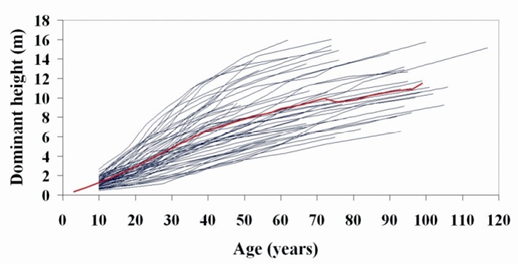 Site index curves for natural Aleppo pine forests in the central Ebro ...