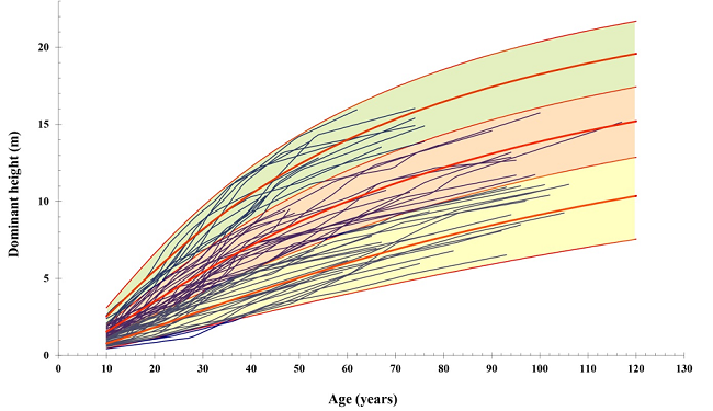 Site index curves for natural Aleppo pine forests in the central Ebro ...