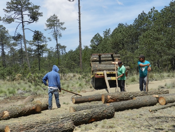 Capital humano e innovación en el proceso de integración del ...