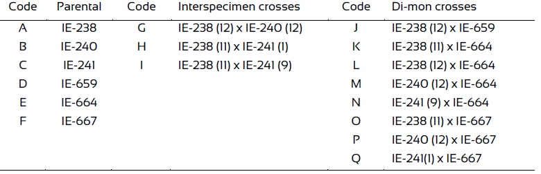 Culture of Pleurotus ostreatus in pine shavings: isolation of strains ...