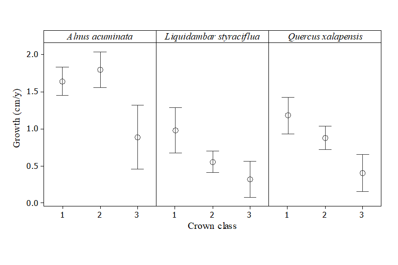 Growth rates of valuable tree species in secondary tropical montane ...