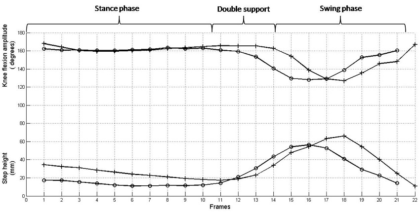 Analysis of the kinematic variation of human gait under different ...