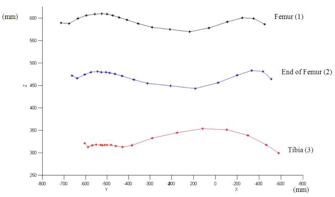 Analysis of the kinematic variation of human gait under different ...