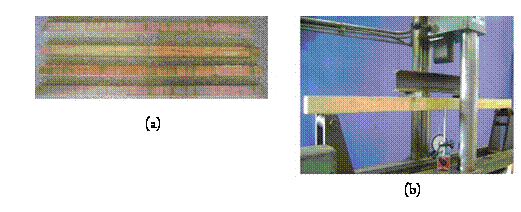 Influence of testing methods to determine the bending modulus of ...