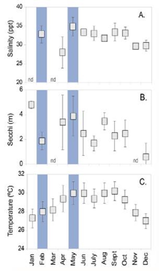 Synchronized sexual reproduction of the seagrass Syringodium filiforme ...