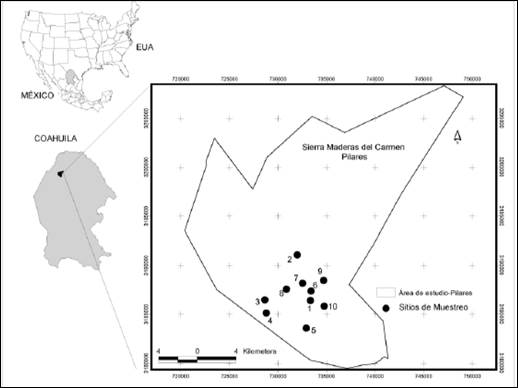 Contenido de nitrógeno en regosoles bajo manejo en matorral desértico ...