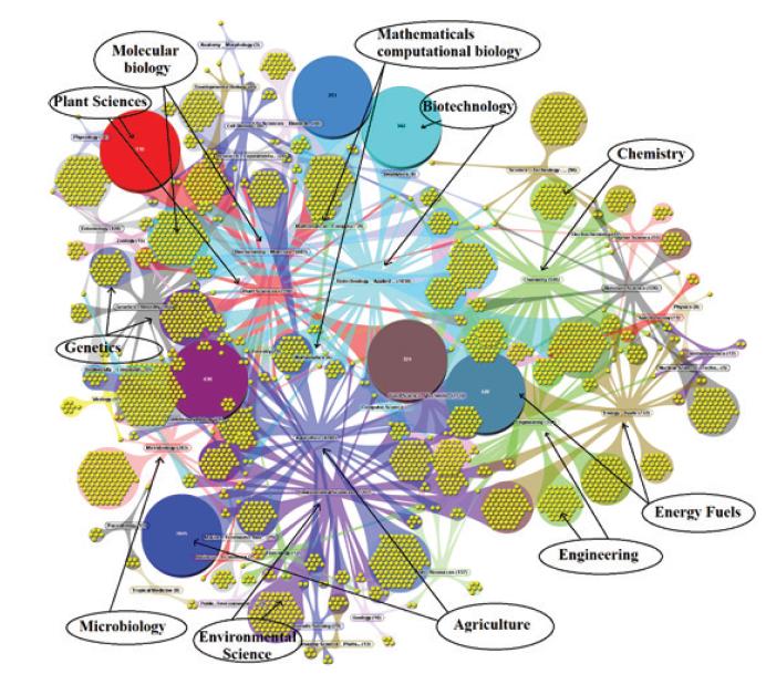 Applying an IPC network to identify the bioenergy technological frontier