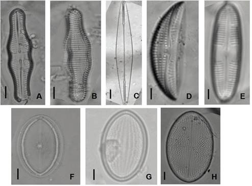 Primer relevamiento de la riqueza algal de una laguna de montaña del ...