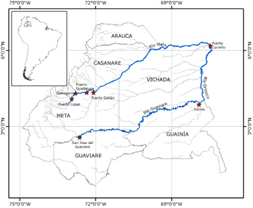 Spatial and temporal length distribution of Zungaro zungaro caught in ...