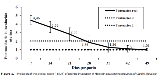 Uterine Involution in Hosltein cows in the province of Carchi, Ecuador