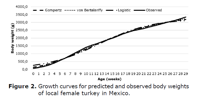 Describing the growth curve of local turkey using non-linear models
