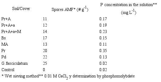 Native arbuscular mycorrhizal fungi effectiveness in soils with ...