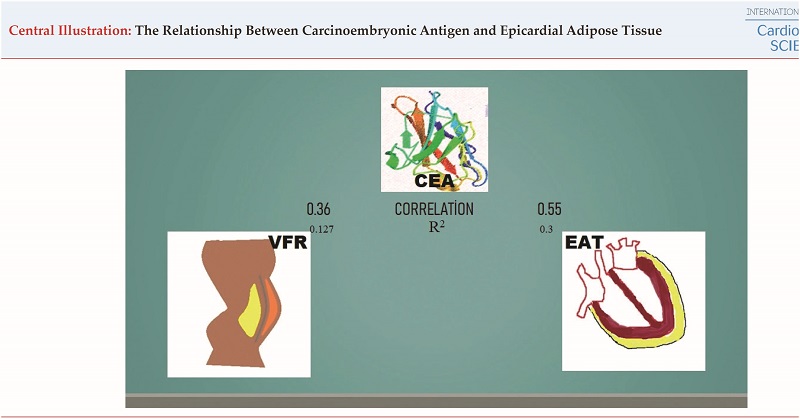 The Relationship Between Carcinoembryonic Antigen and Epicardial ...