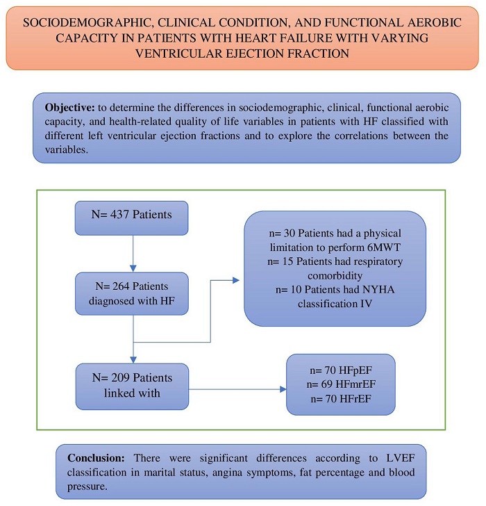 Sociodemographic, Clinical Condition, and Functional Aerobic Capacity ...