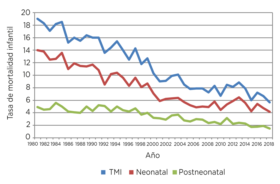 Desigualdades en la mortalidad infantil en la Ciudad de Buenos Aires ...