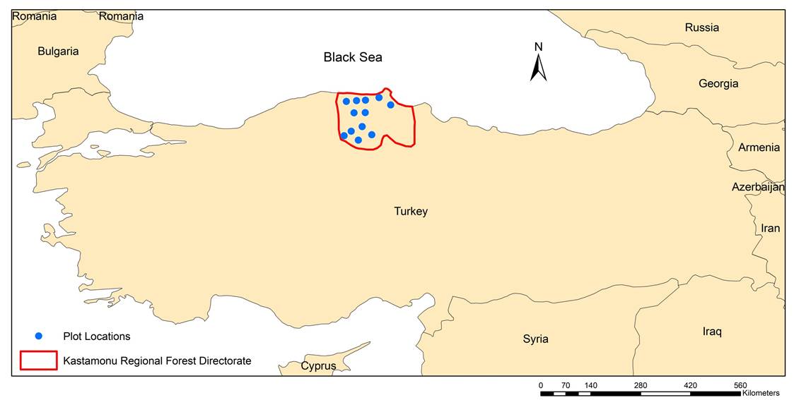 THE GROWING SPACE UTILIZATION OF MAIN TREE SPECIES IN NORTHERN TURKEY