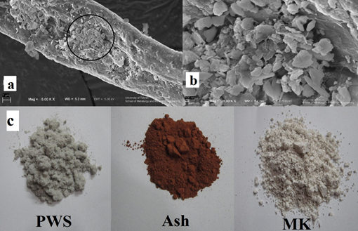 PAPERMAKING WASTE SLUDGE FIBER-CEMENT COMPOSITE PANEL: STABILIZATION ...