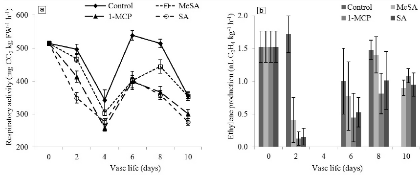 SALICYLATE COMPOUNDS AND 1-METHYLCYCLOPROPENE ON POSTHARVEST OF ‘VEGA’ CUT ROSE