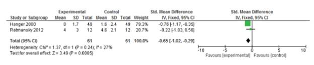 Relationship between Hemineglect and Pain: A Systematic Review and Meta ...