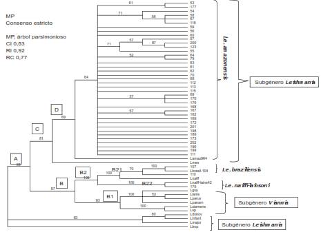 Aspectos ecoepidemiológicos, detección natural e identificación ...