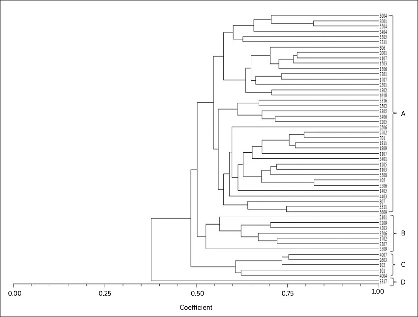 Genetic diversity in oil palm (Elaeis guineensis Jacq) using RAM ...