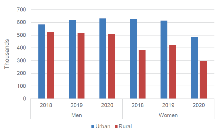 Informal Economy and Income Distribution in Ecuador During the COVID-19 ...