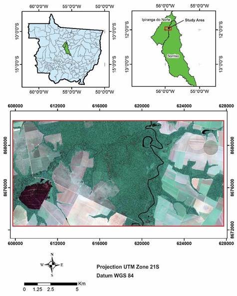 Surface albedo in different land-use and cover types in Amazon forest ...